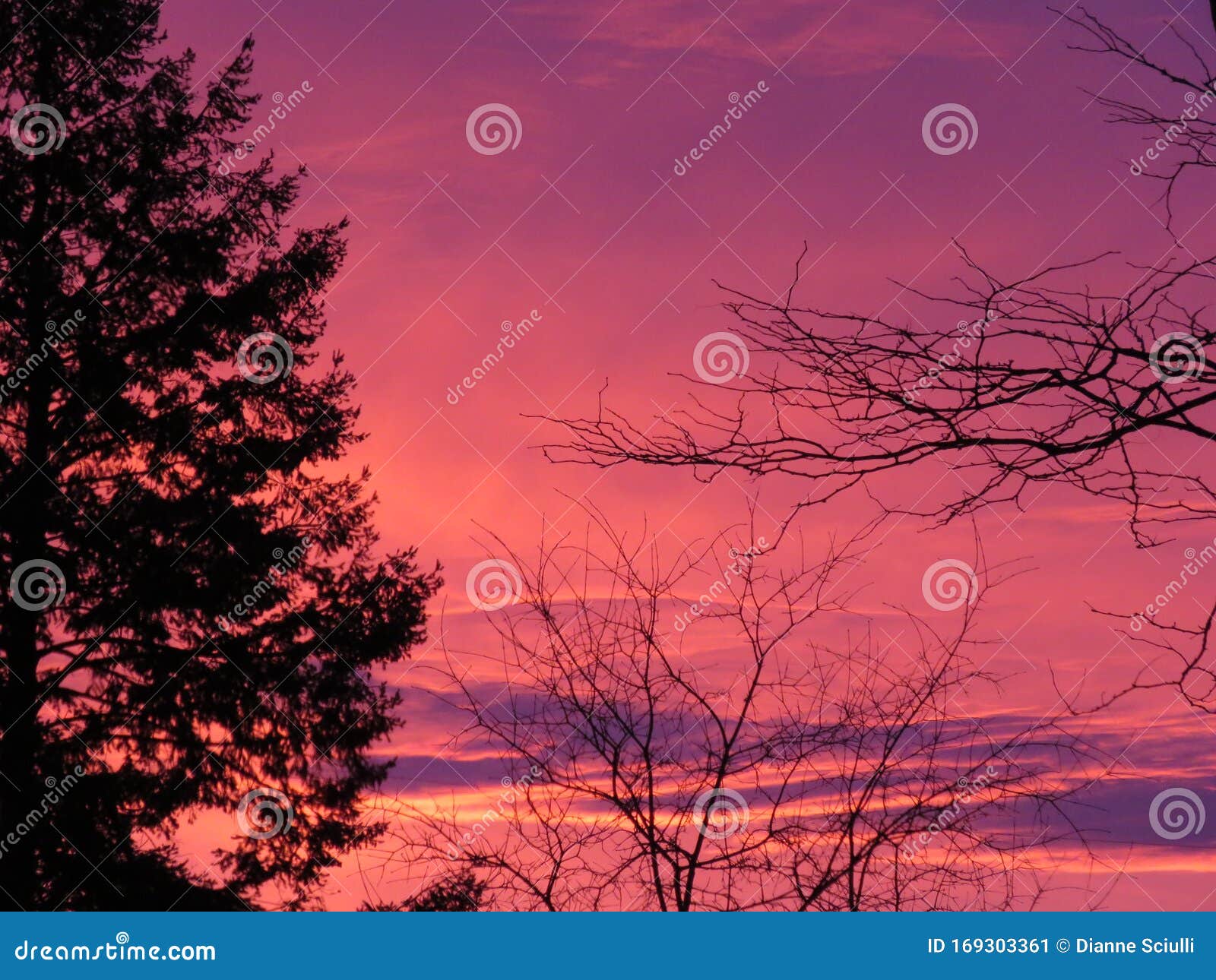 Morning Sunrise in Canada stock image. Image of canada - 169303361