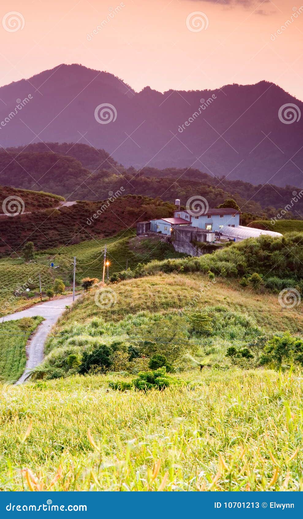 Morning Sunrise in the Farm Stock Image - Image of beauty, grow: 10701213