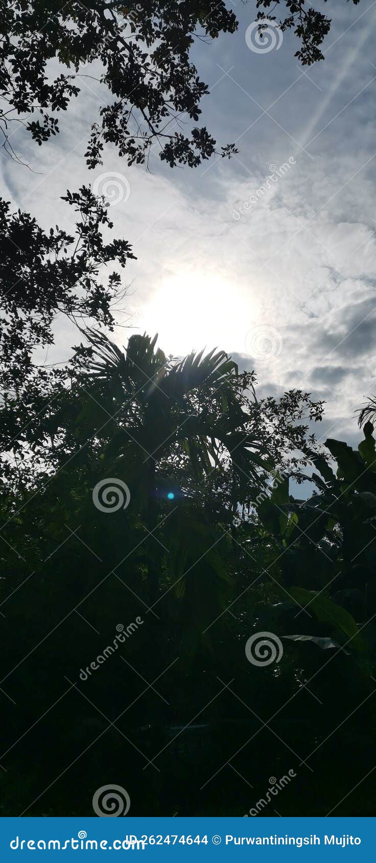 Morning Sunrise from the Garden House Backyard Stock Photo - Image of ...