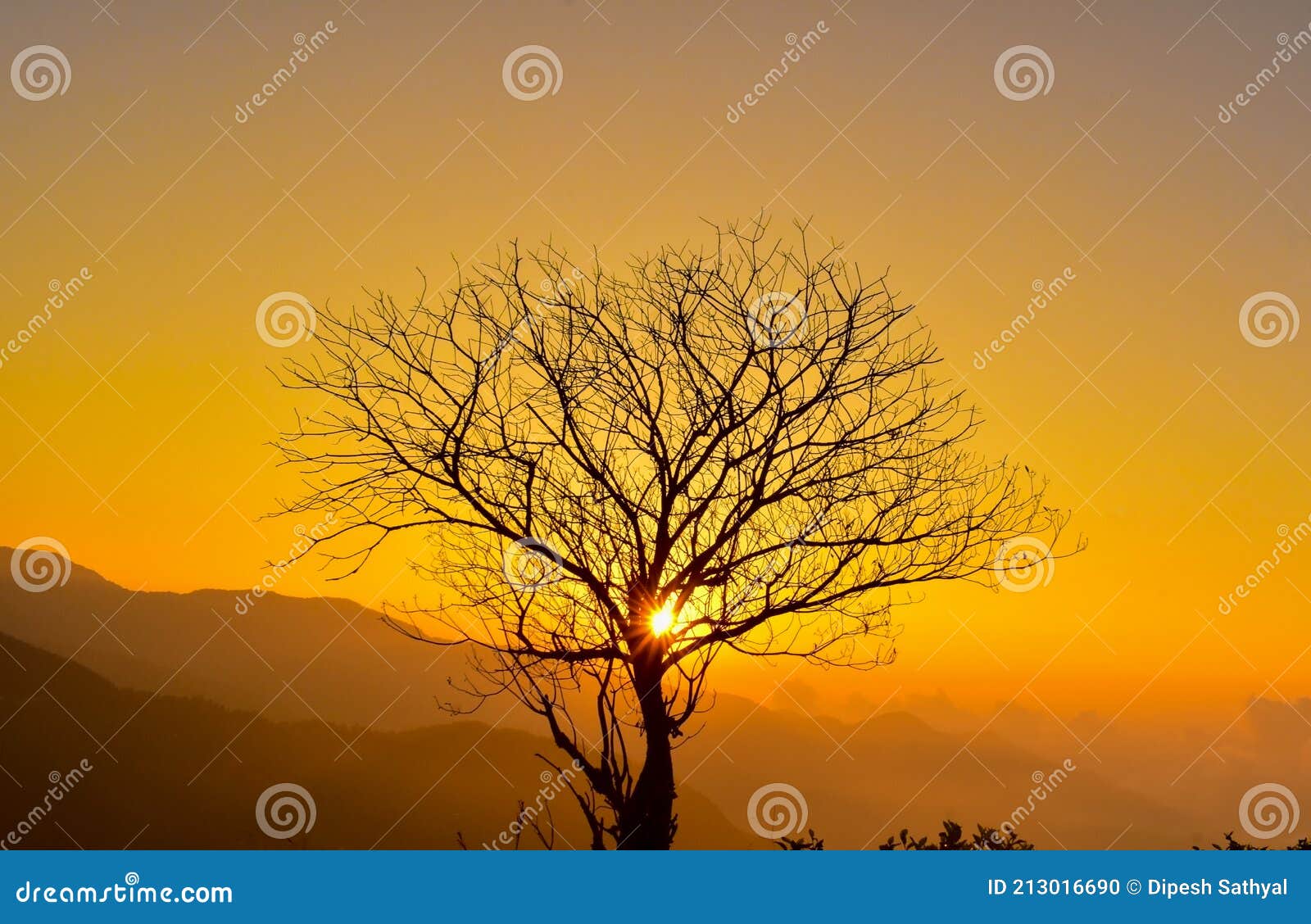 Morning sunrise stock photo. Image of tour, peeking - 213016690