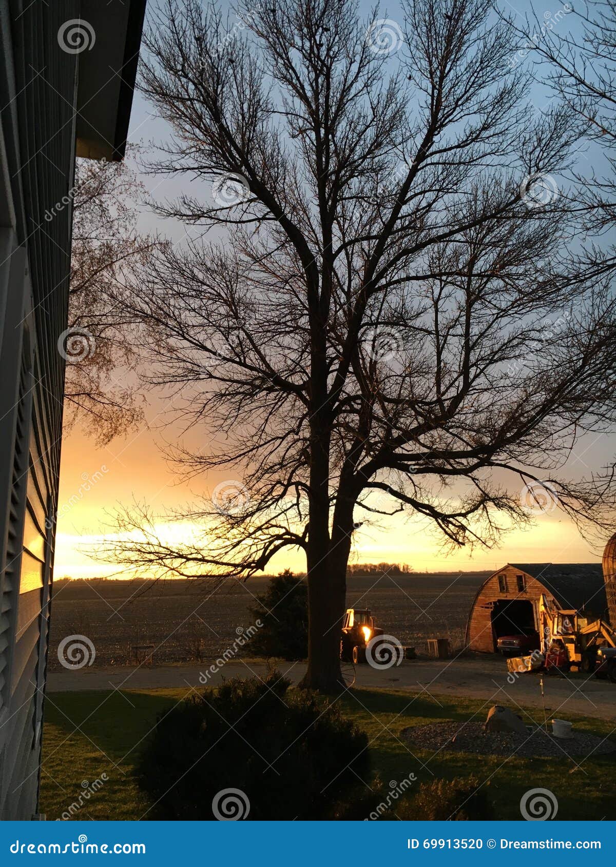 Morning sunrise stock photo. Image of tree, sunrise, morning - 69913520