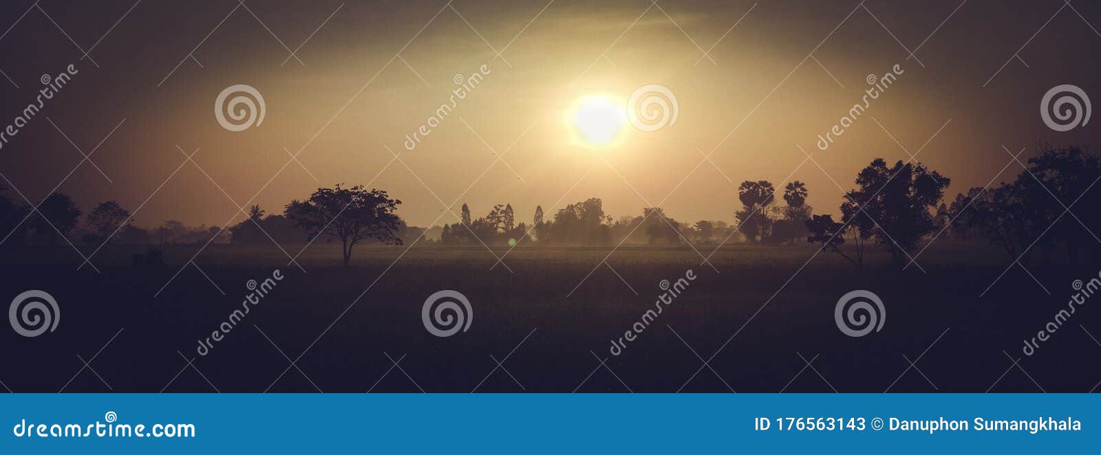 The Morning Sunrise and Tree Shadow Stock Image - Image of orange ...