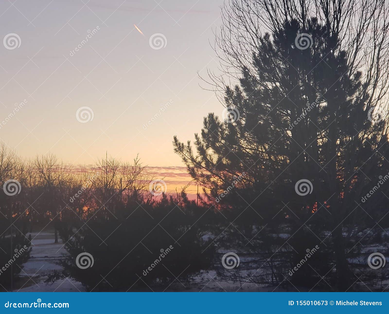Morning stock image. Image of sunrise, snow, trees, morning - 155010673