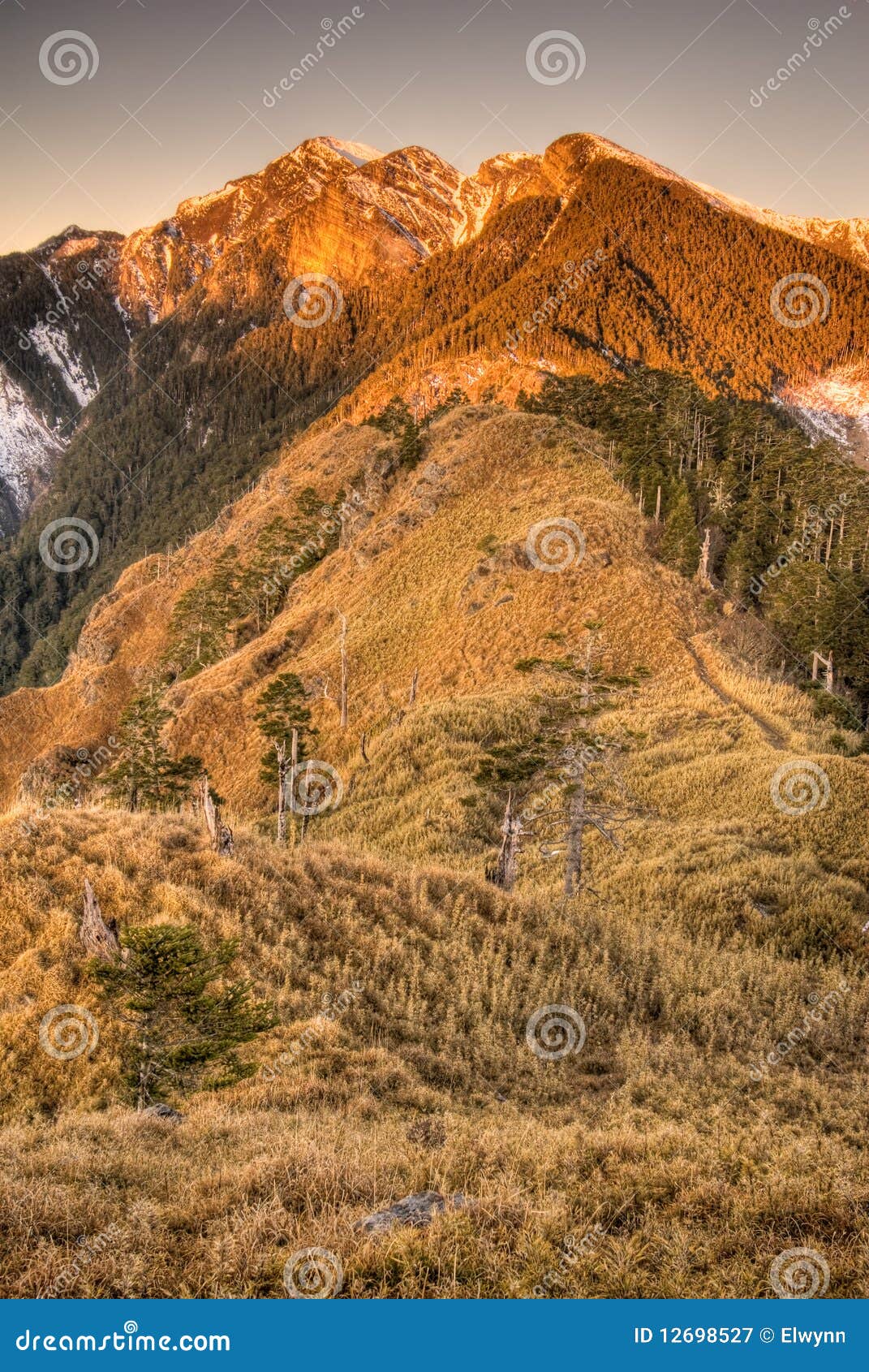 Morning sunrise view stock image. Image of leaf, bright - 12698527