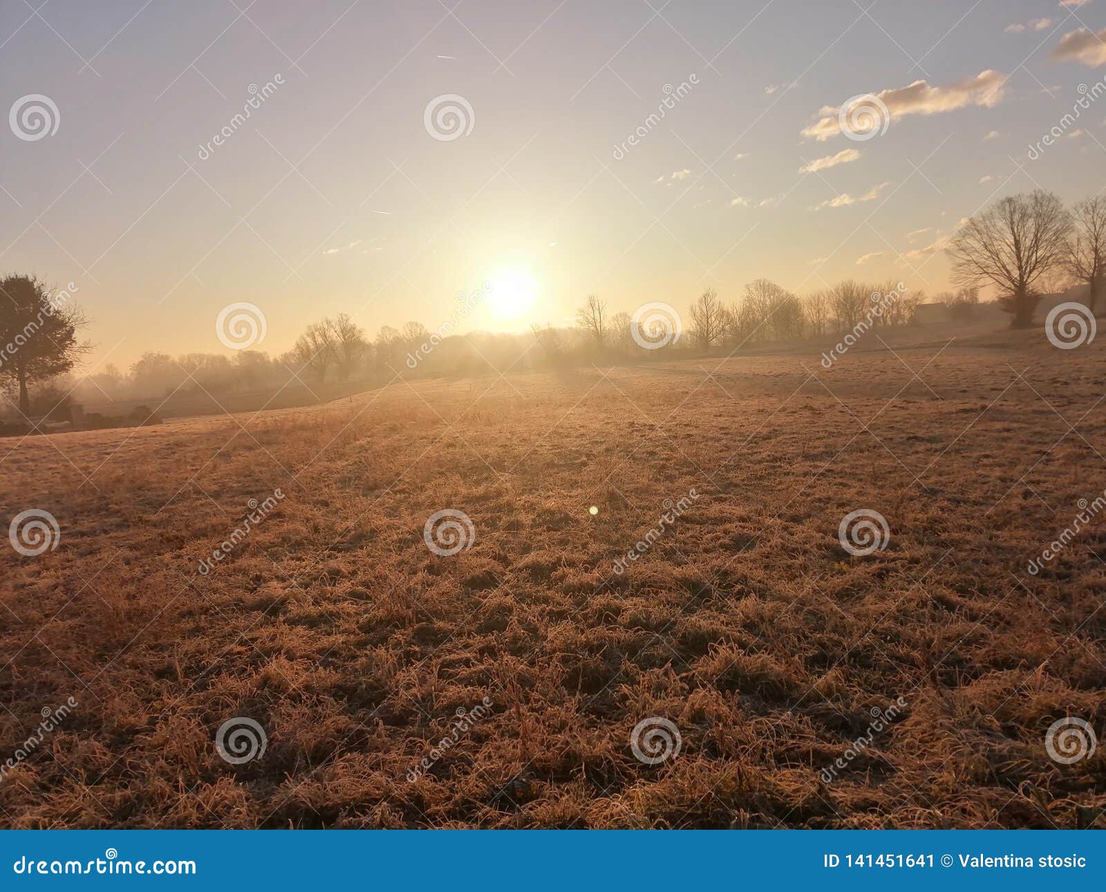Morning sunshine stock image. Image of sunshine, field - 141451641