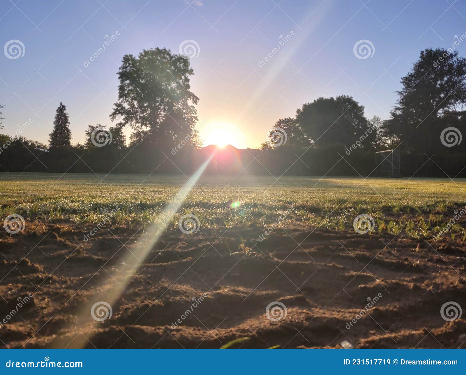 Morning Sunshine in Netherlands Stock Image - Image of neterlands ...