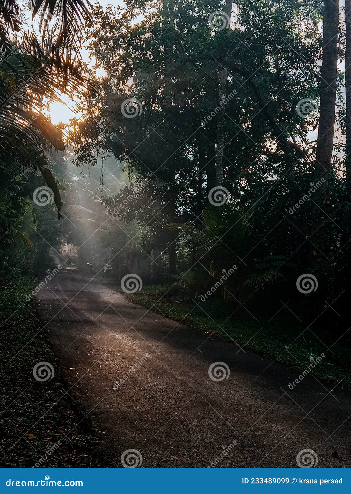 Morning sunshine on way stock image. Image of moody - 233489099