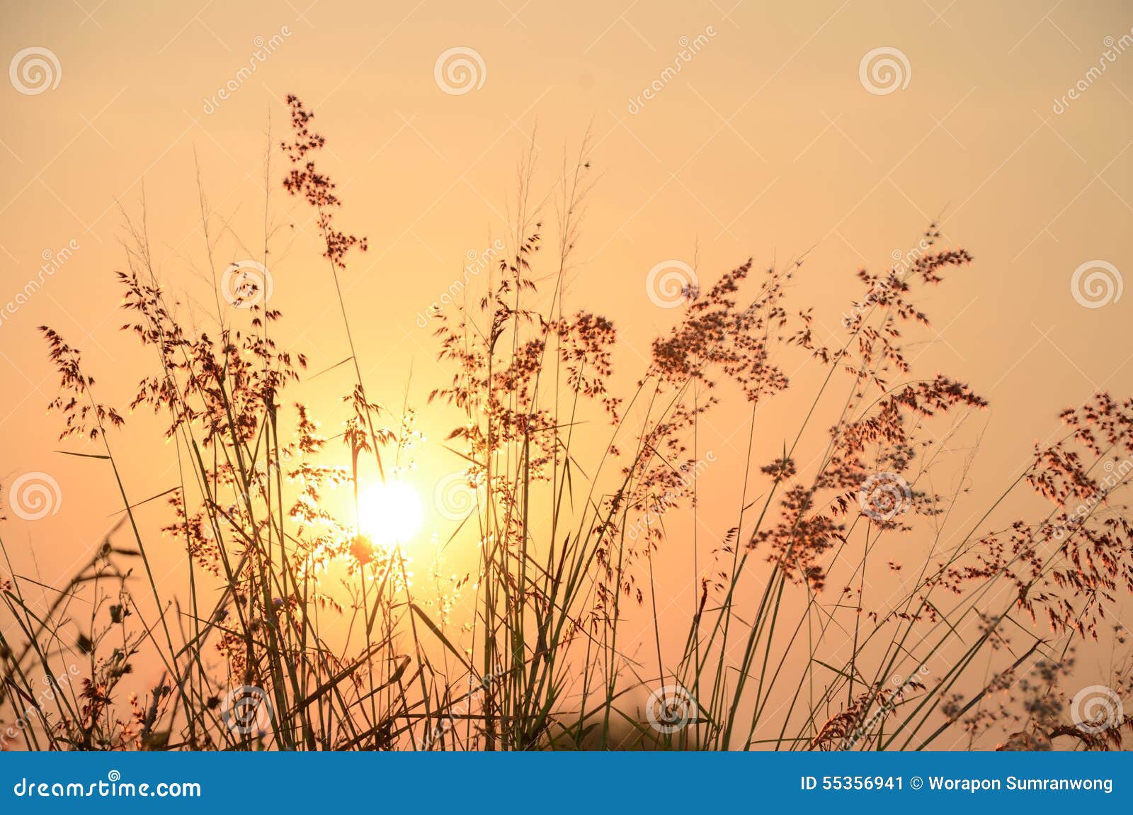 Morning stock image. Image of morning, sunrise, daybreak - 55356941