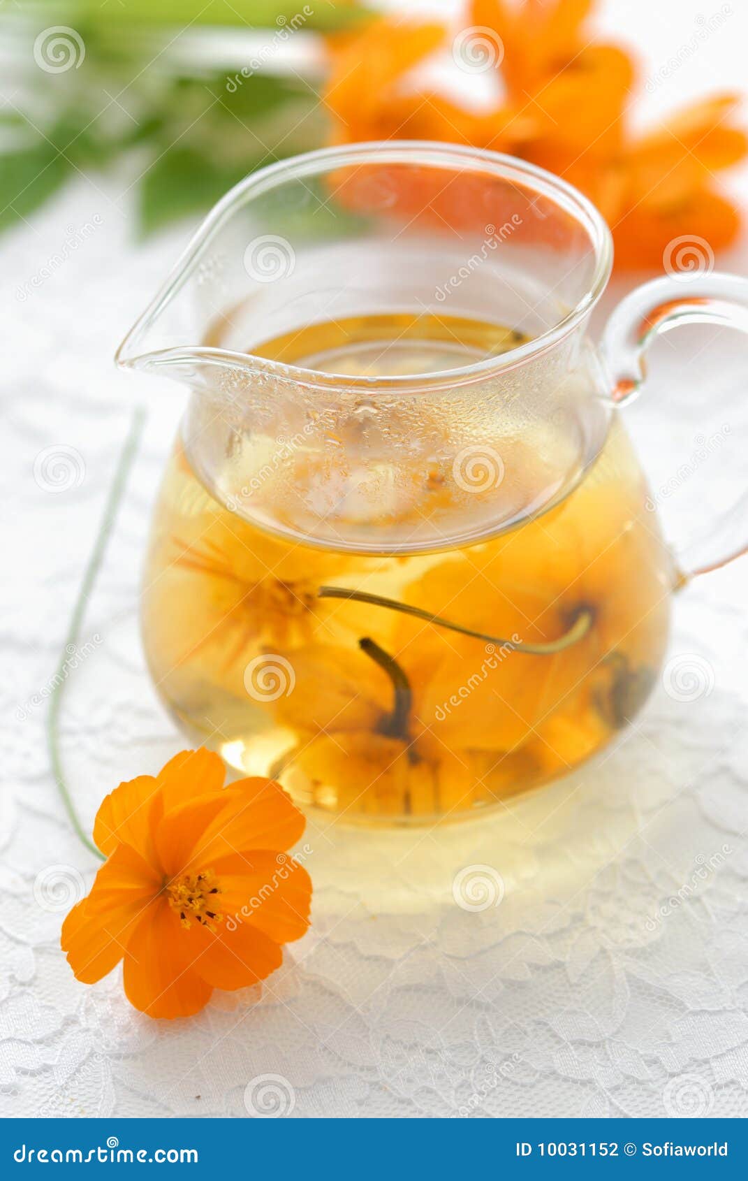 Morning Tea stock photo. Image of japanese, medicine - 10031152
