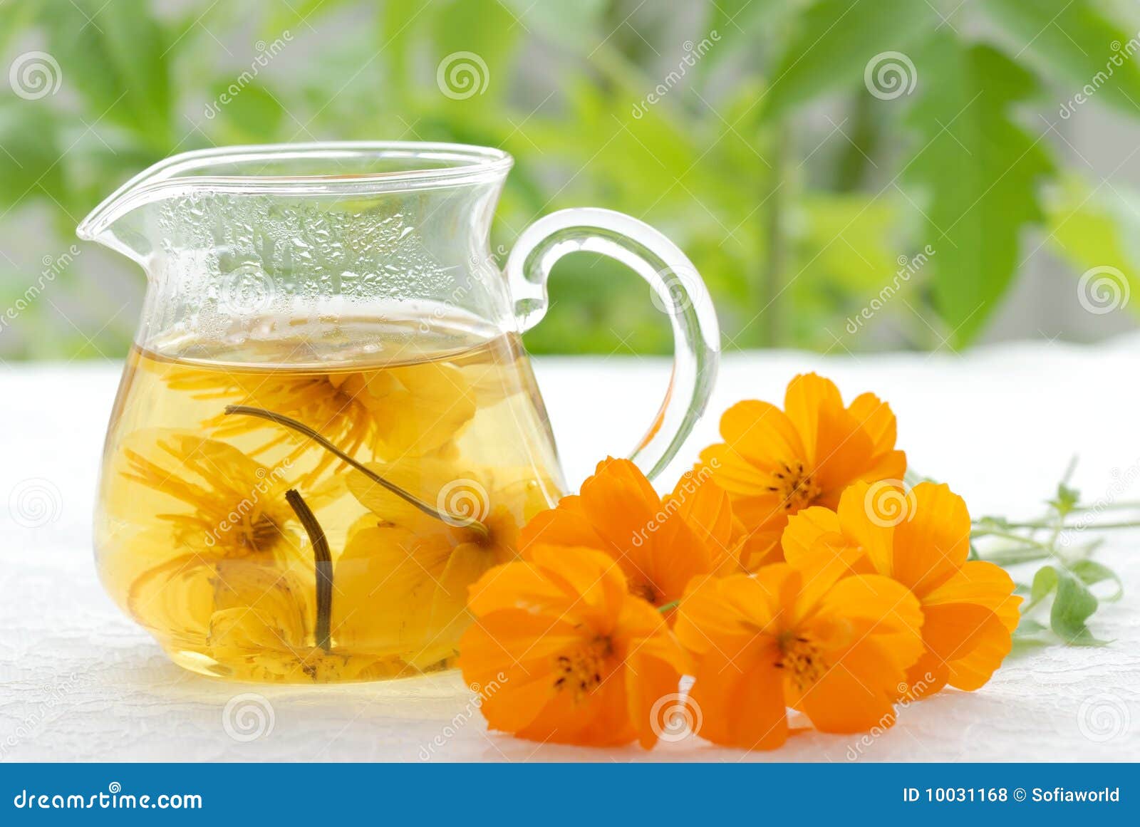 Morning Tea stock photo. Image of drink, heat, healthy - 10031168