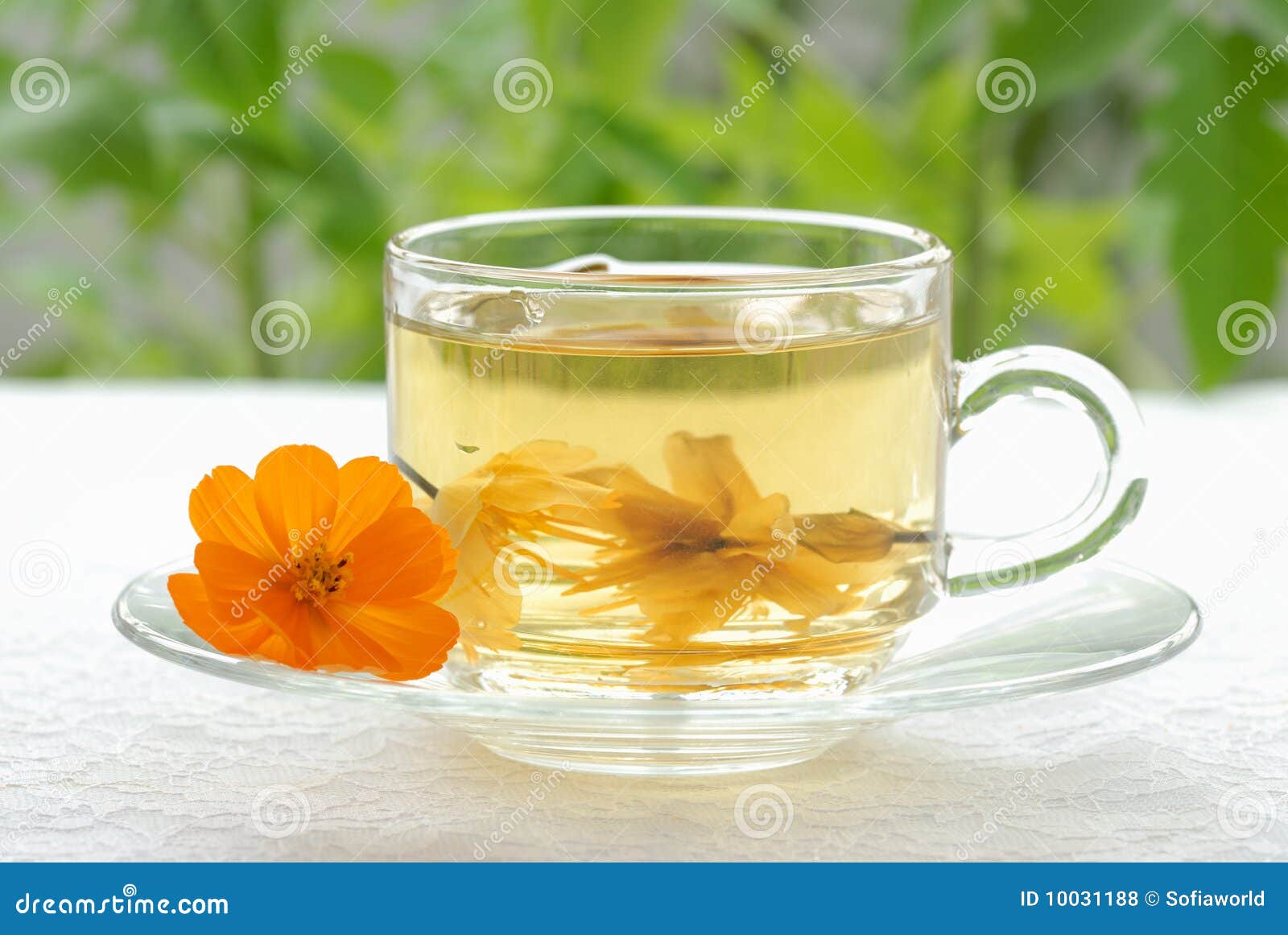 Morning Tea stock photo. Image of herbal, cuppa, british - 10031188