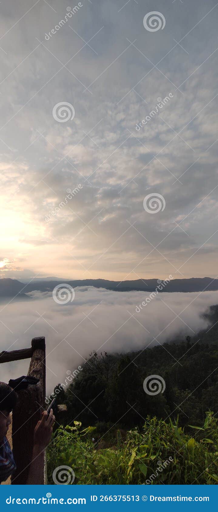 The Morning is Thick Fog and the Wind is Cold in the Morning Stock ...