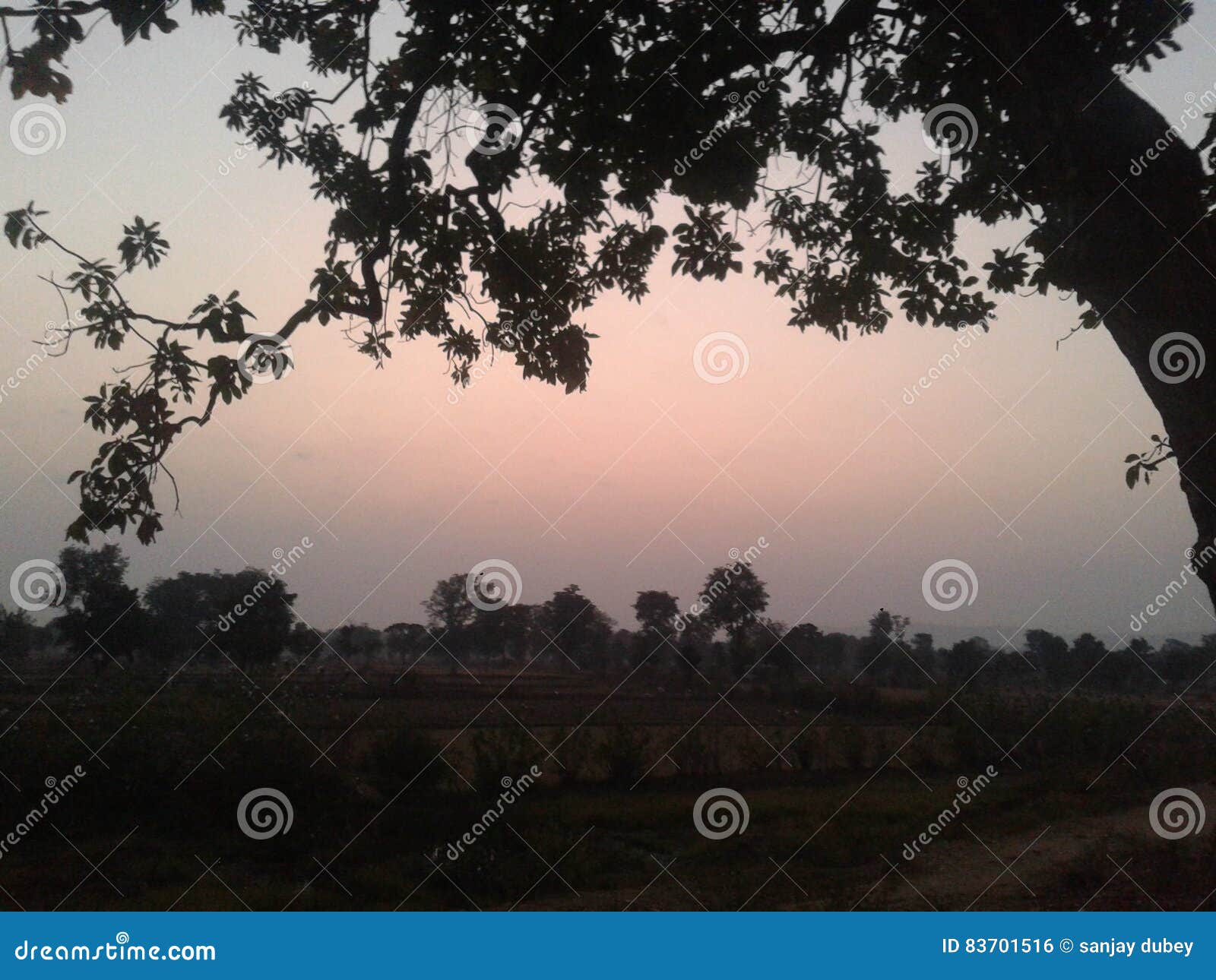 Morning time stock photo. Image of time, morning, camera - 83701516