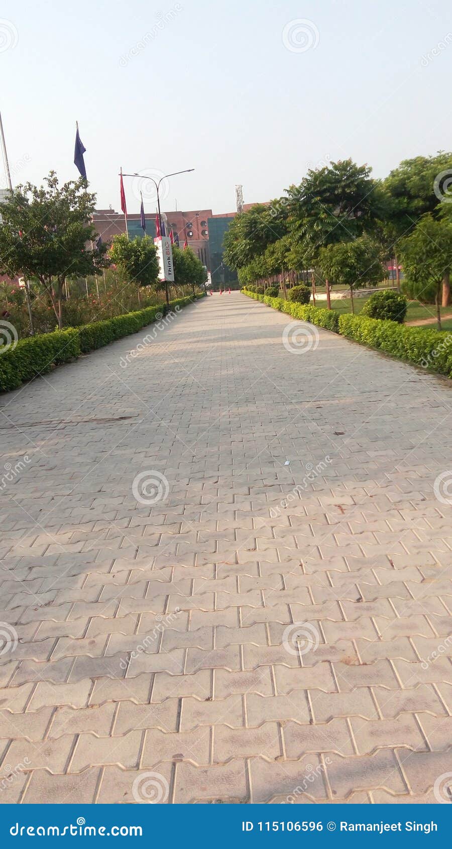 Pavement path stock photo. Image of walk, path, pavement - 115106596