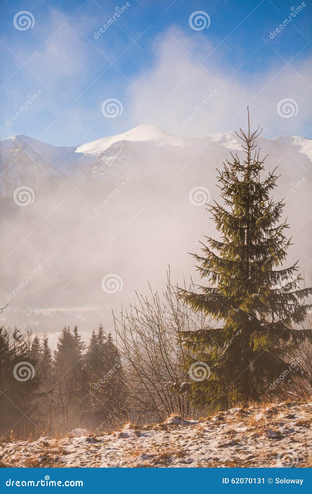Morning Time in Winter Mountain Stock Image - Image of green, grass ...