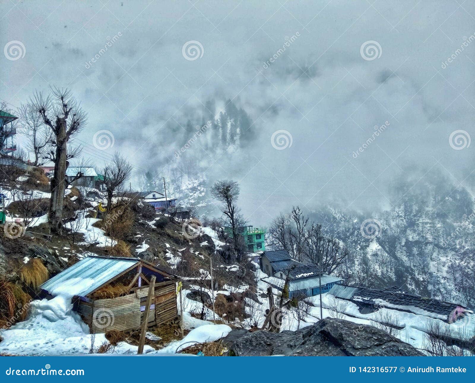 Morning Trek in the Snow Fall Stock Image - Image of gave, look: 142316577