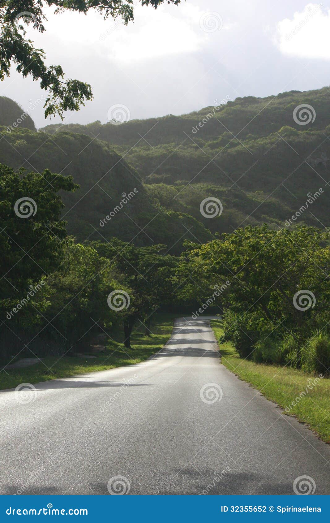 Morning tropical road stock photo. Image of tropical - 32355652