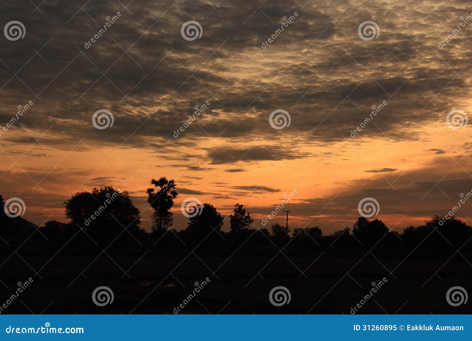 Morning Twilight of Countryside Field. Stock Image - Image of bright ...