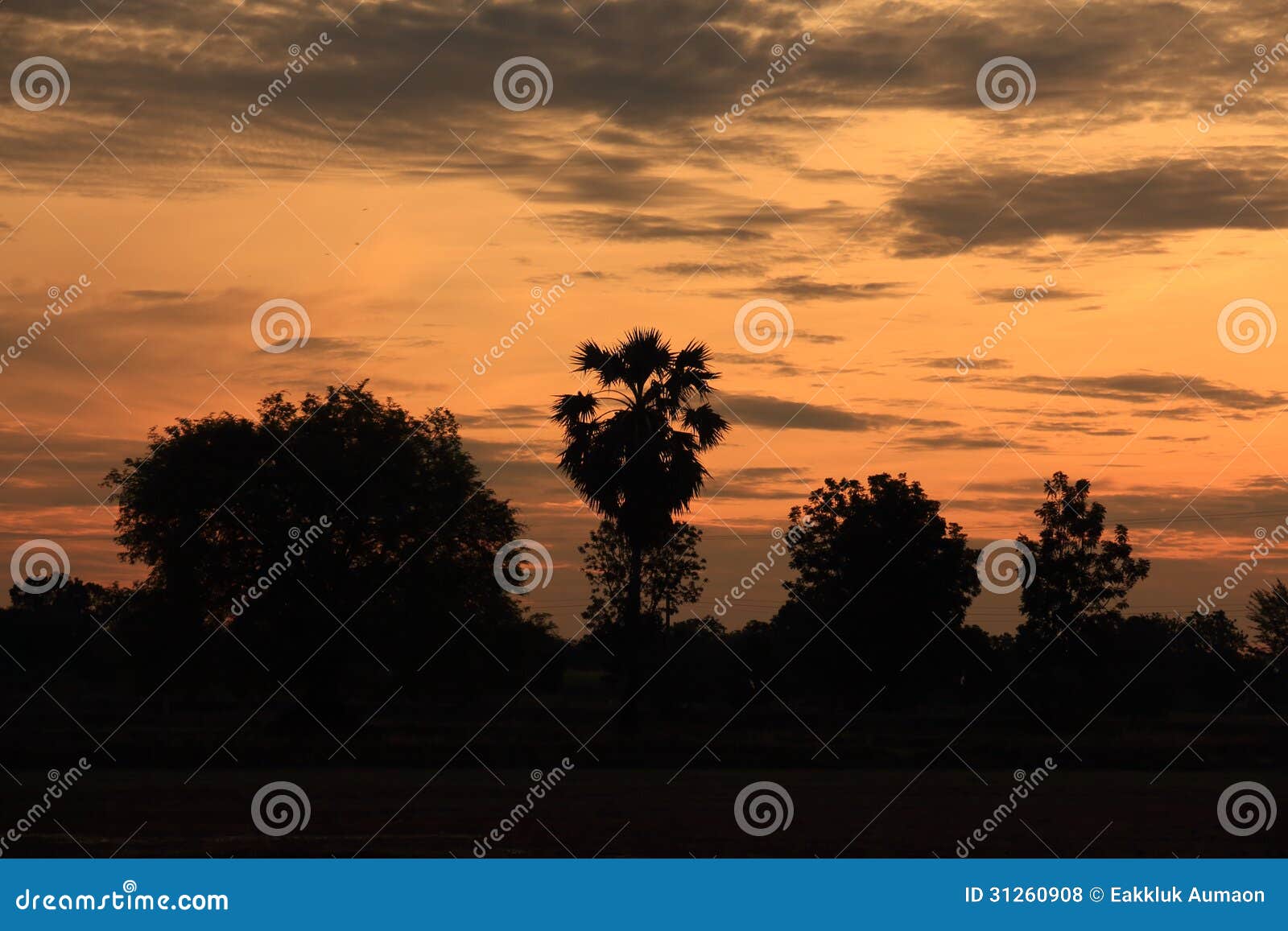 Morning Twilight of Countryside Field. Stock Photo - Image of ...
