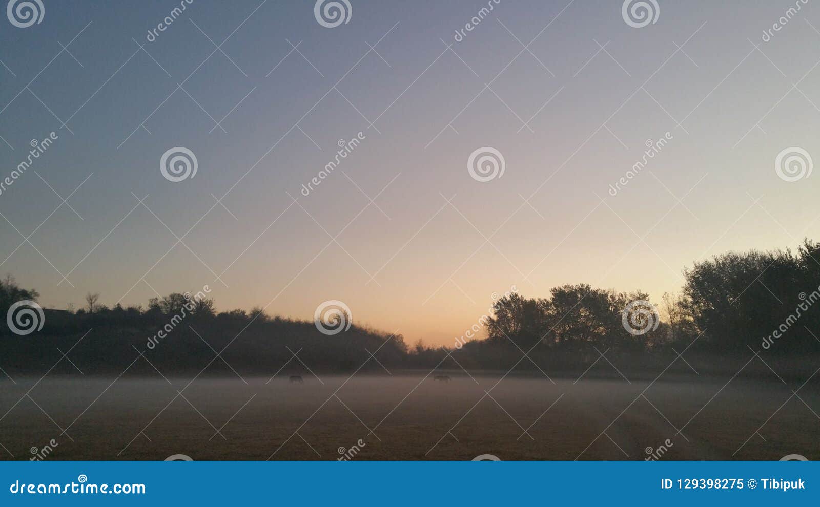 Morning twilight fog stock image. Image of twilight - 129398275