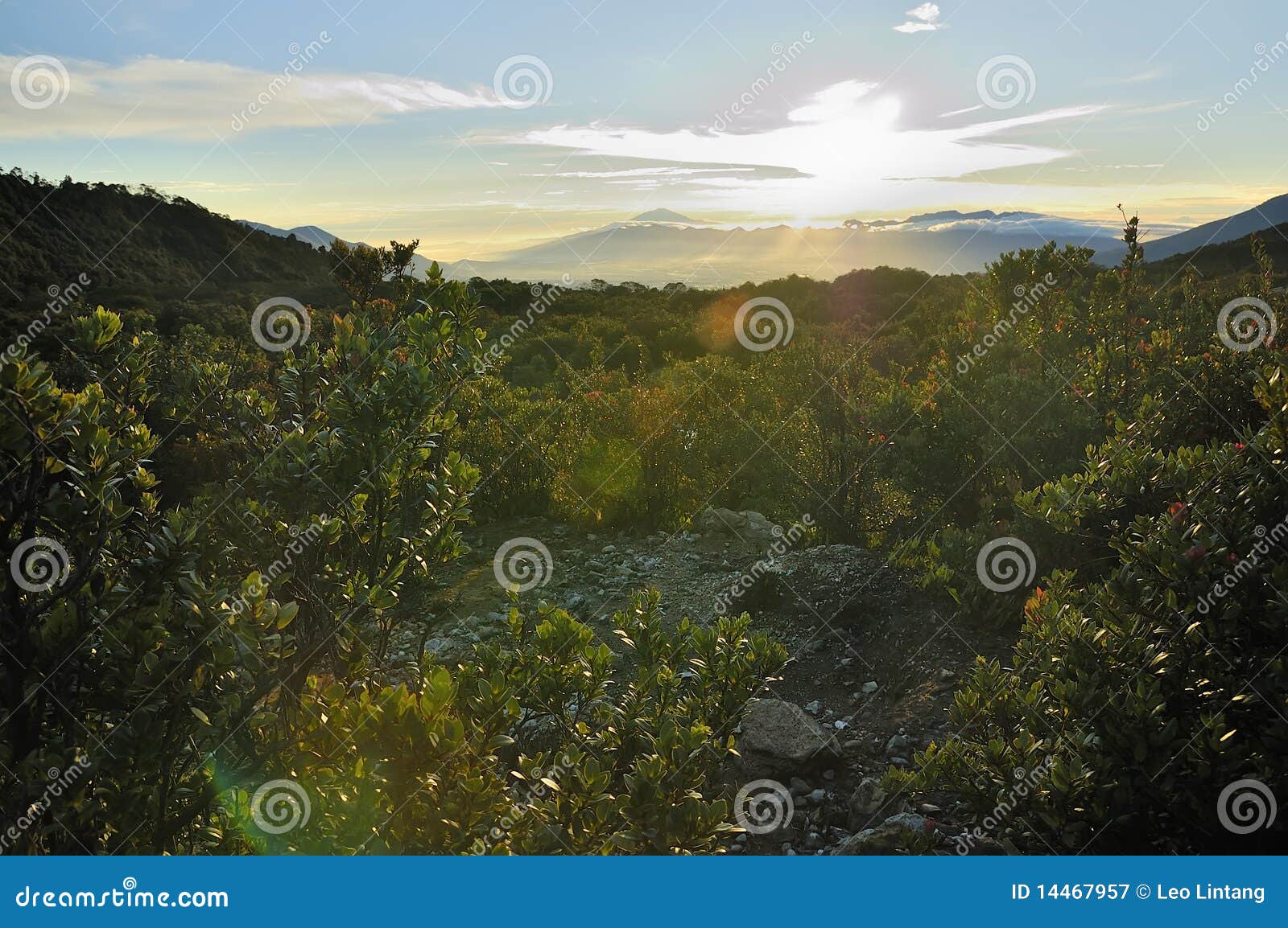 Morning View stock image. Image of peak, nature, countryside - 14467957