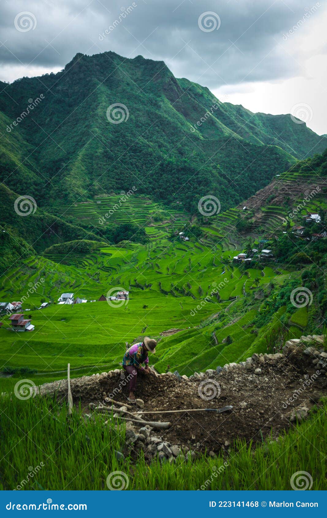 Batad Rice Terrace In Banaue, Ifugao, Philippines Editorial Image ...