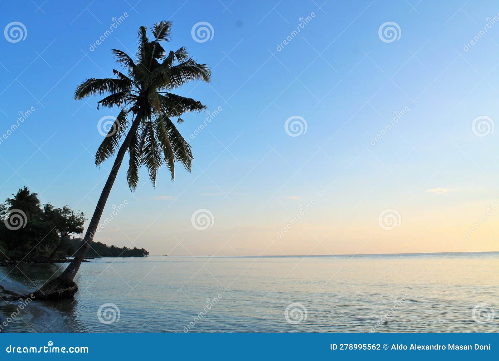 Morning View of the Beach with Palm Trees Stock Photo - Image of trees ...