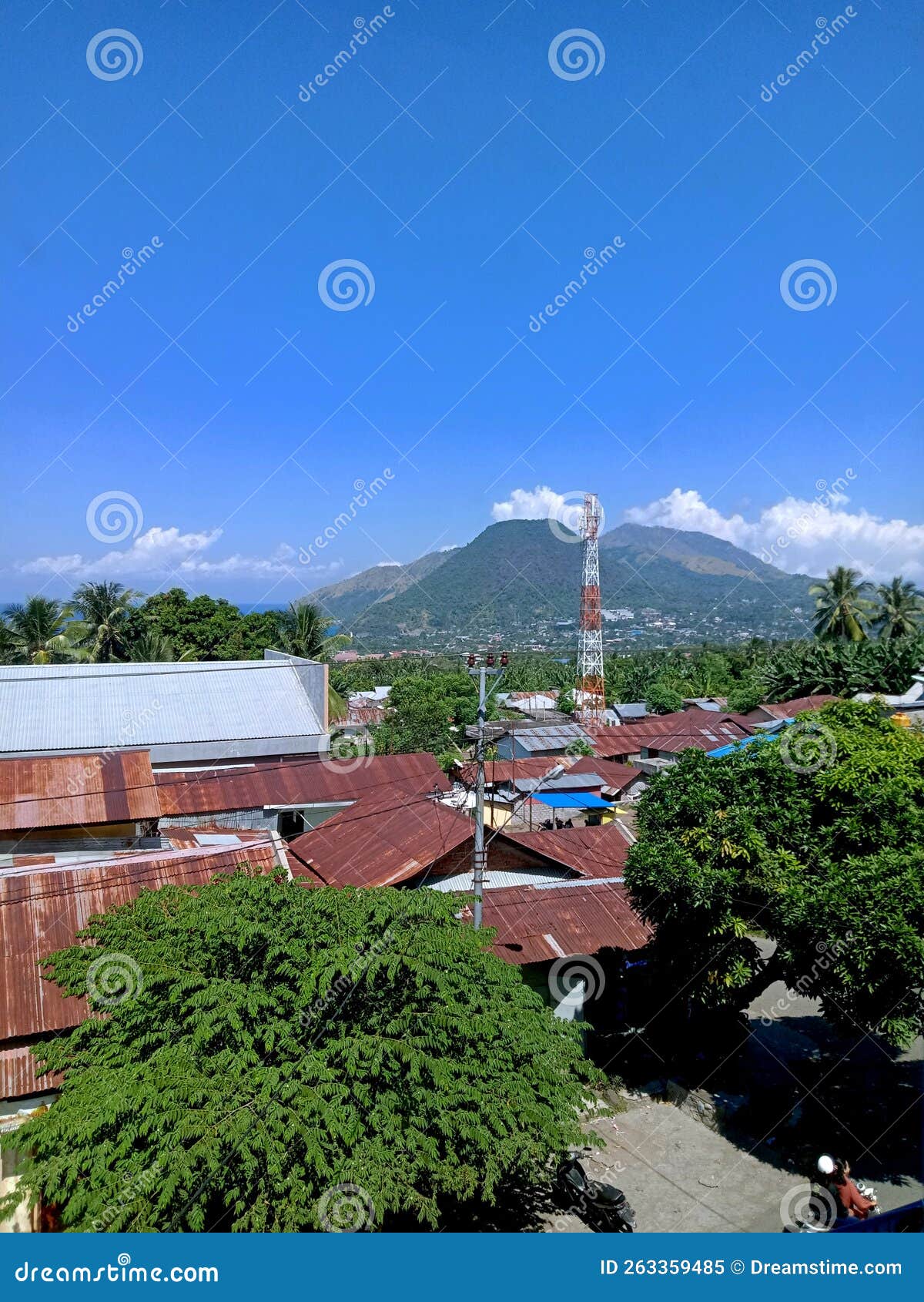 This is the Morning View in Front of My Campus at the University of ...