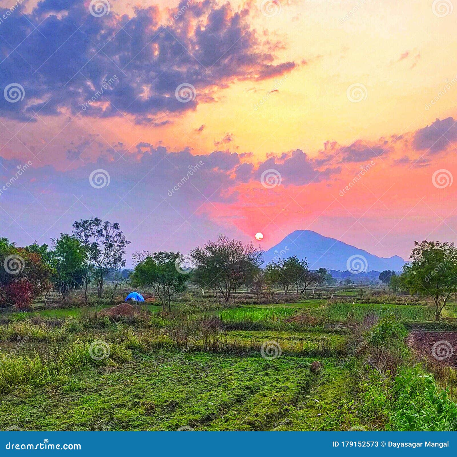The Morning View of Green Forest. Stock Image - Image of chry, garden ...