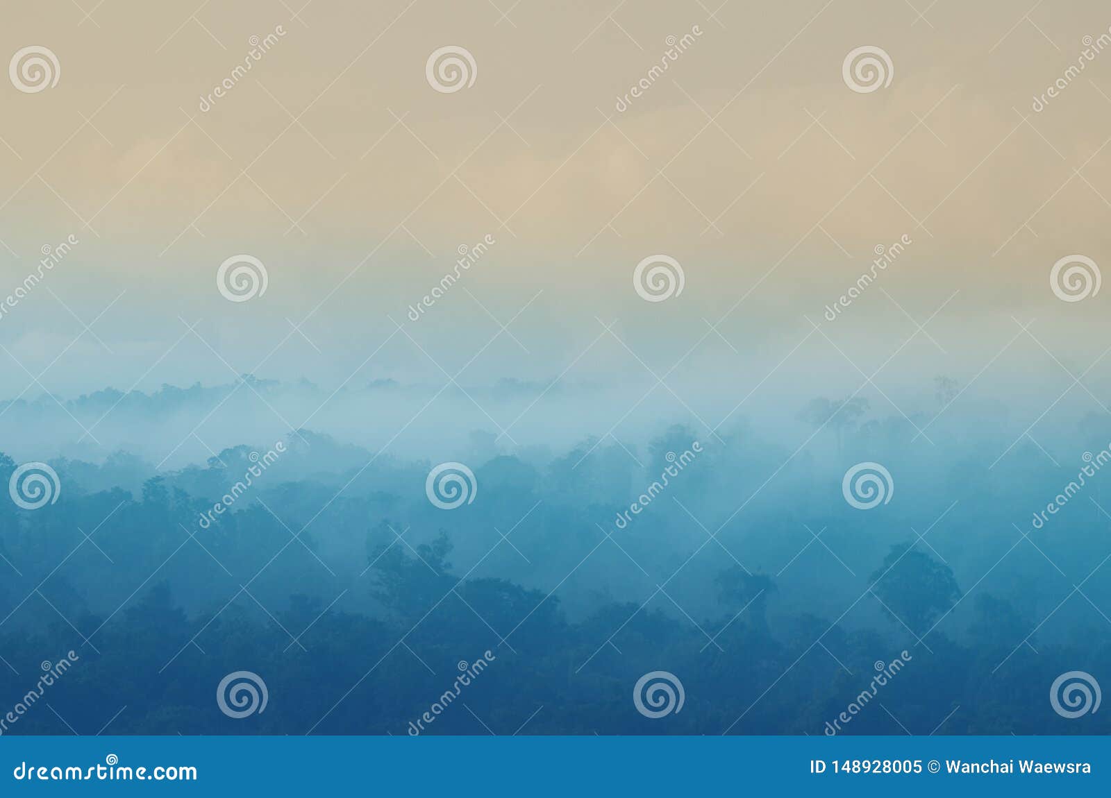 Morning View of the Mountain Forest in the Beautiful Mist Stock Image ...