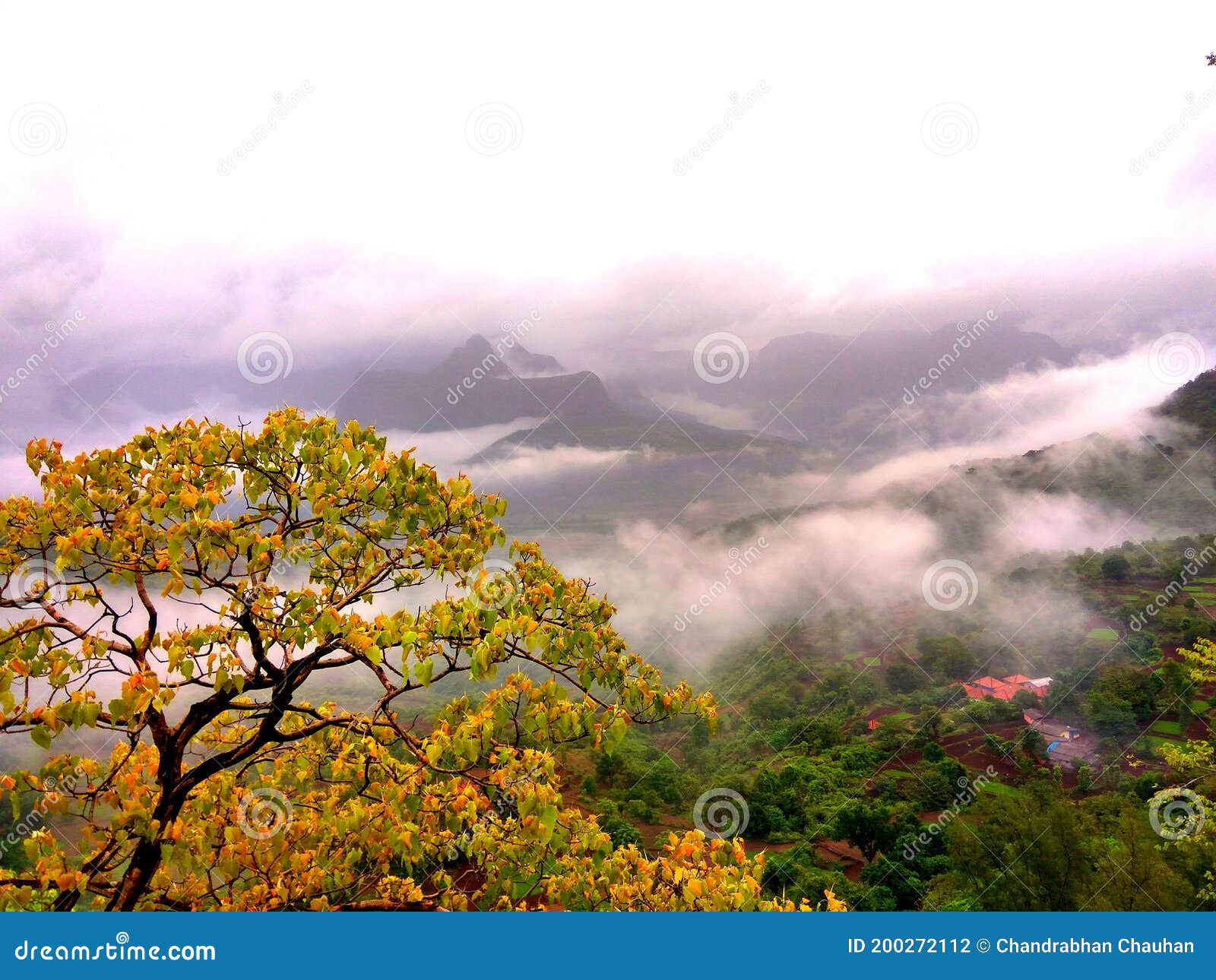 Morning View of Mountain Looking Beautiful with Color Full Tree and ...