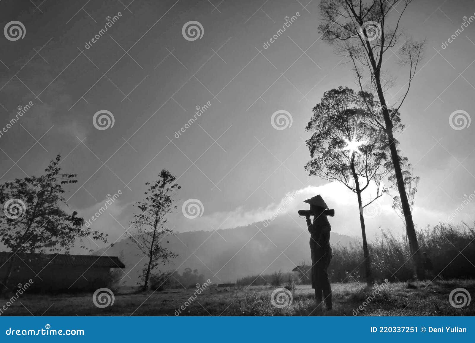 Morning View Ranca Upas Sunrise Tree Stock Image - Image of mist, tree ...
