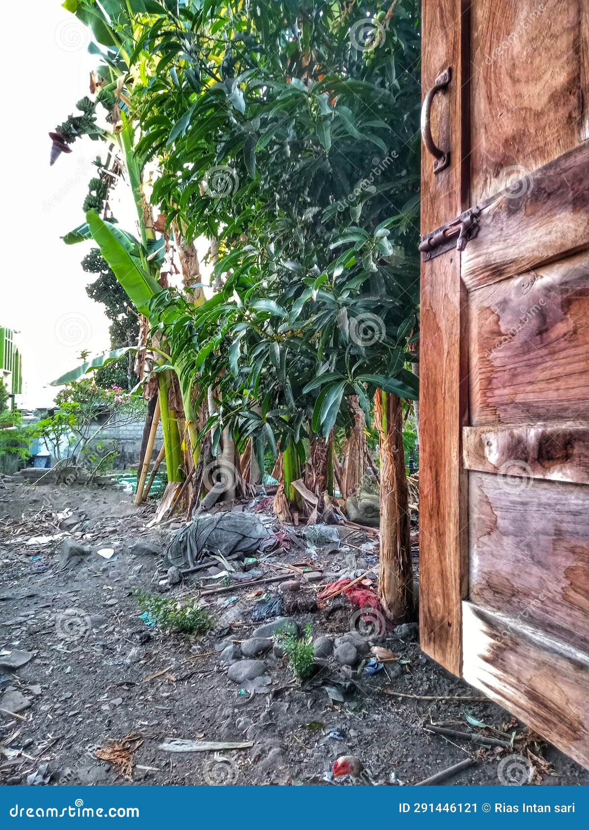 Morning View in a Simple House in the Village Stock Image - Image of ...