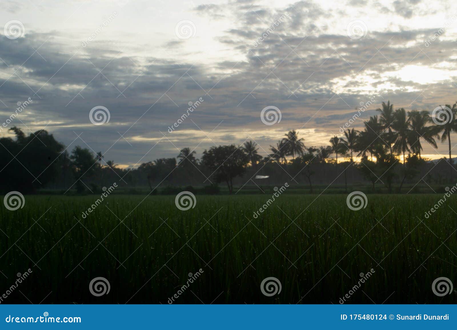 The Morning View of the Sunrise Stock Photo - Image of cloud, view ...