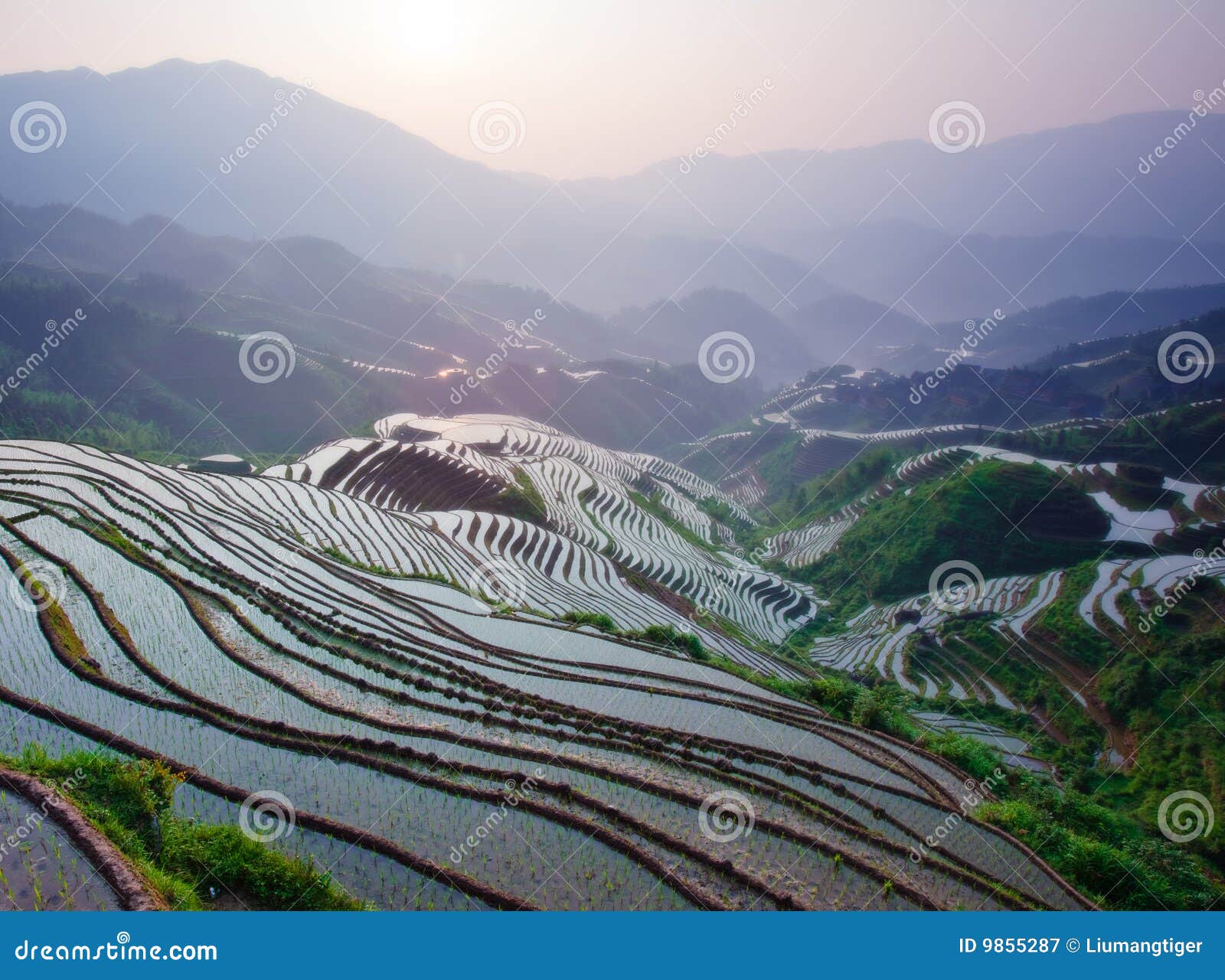 Morning view of terrace stock image. Image of asia, guilin - 9855287