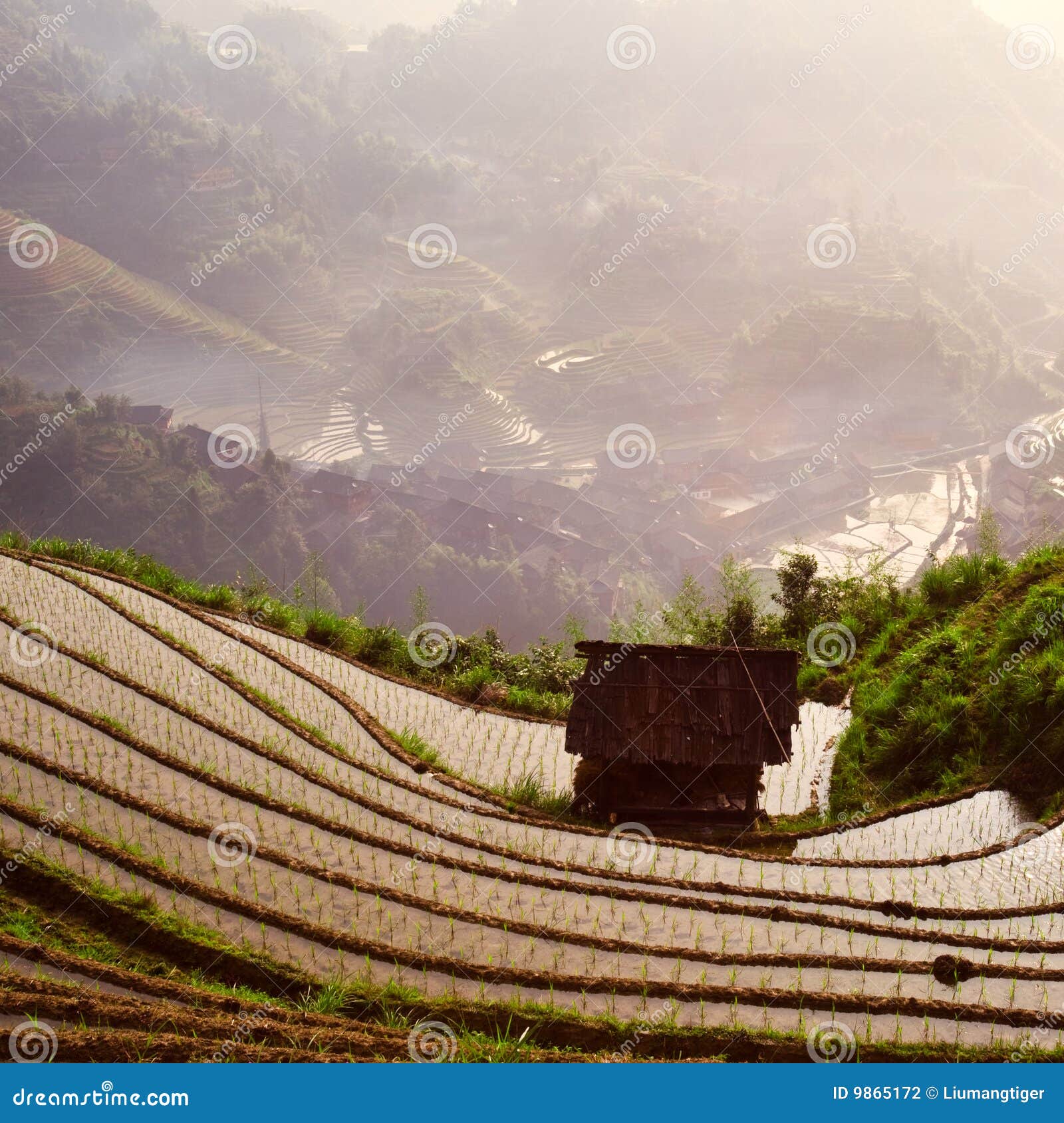 Morning view of terrace stock photo. Image of minority - 9865172