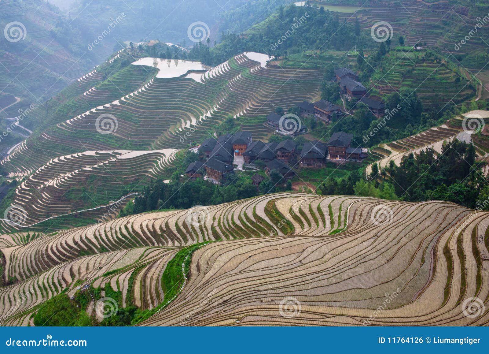 Morning View of Terrace & Village Stock Photo - Image of ploughing ...