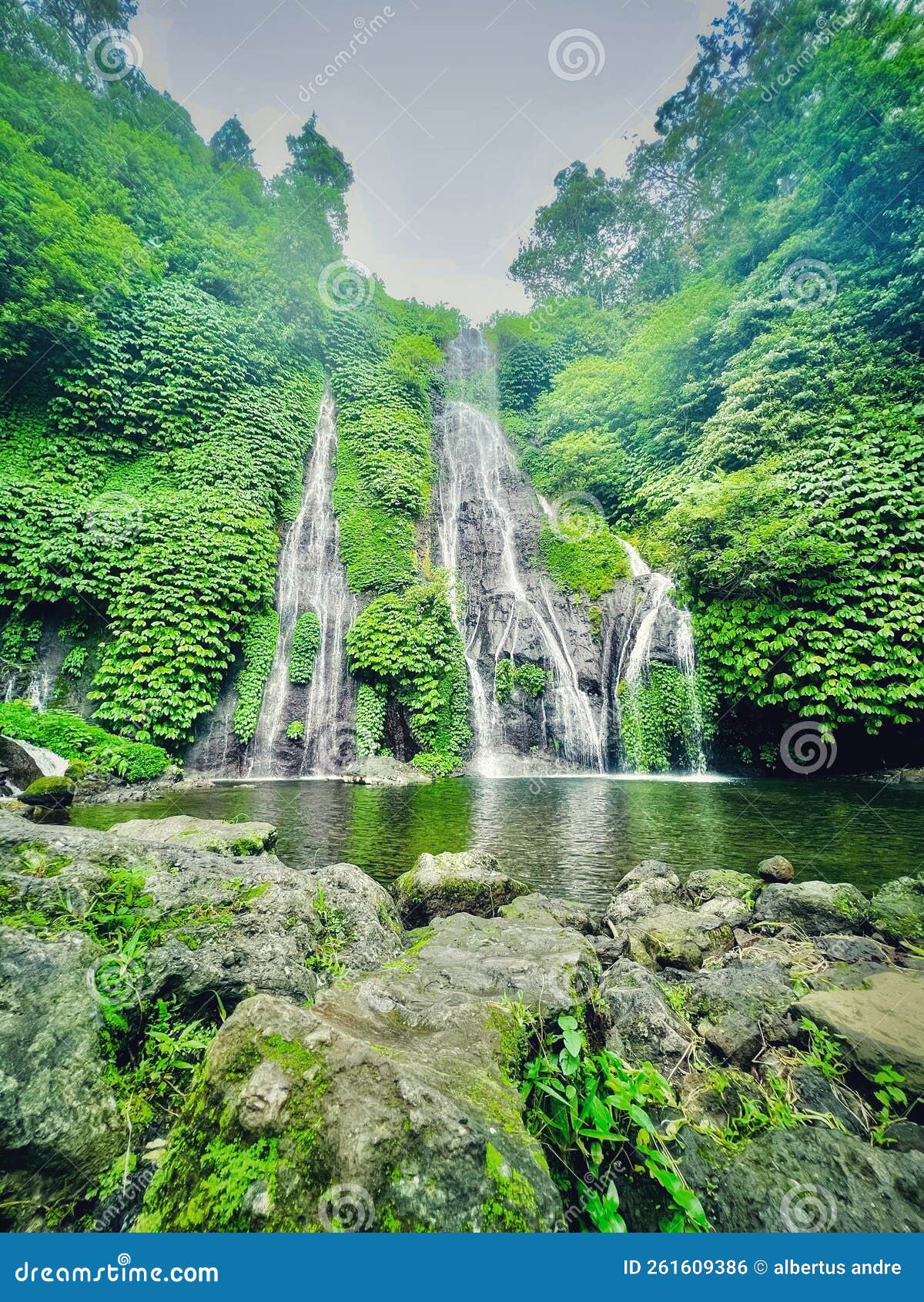 Morning View of the Waterfall and Green Forest Stock Photo - Image of ...