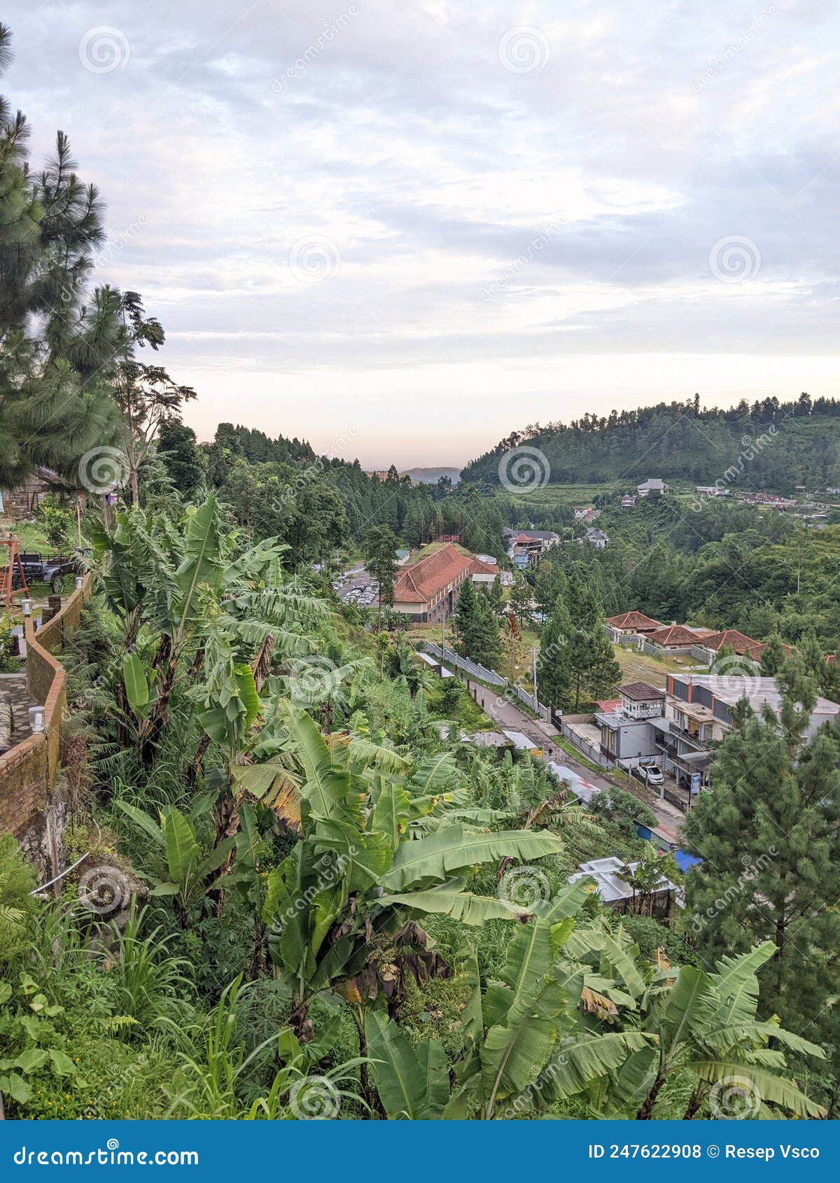 Morning View when You Live in Village Stock Photo - Image of village ...