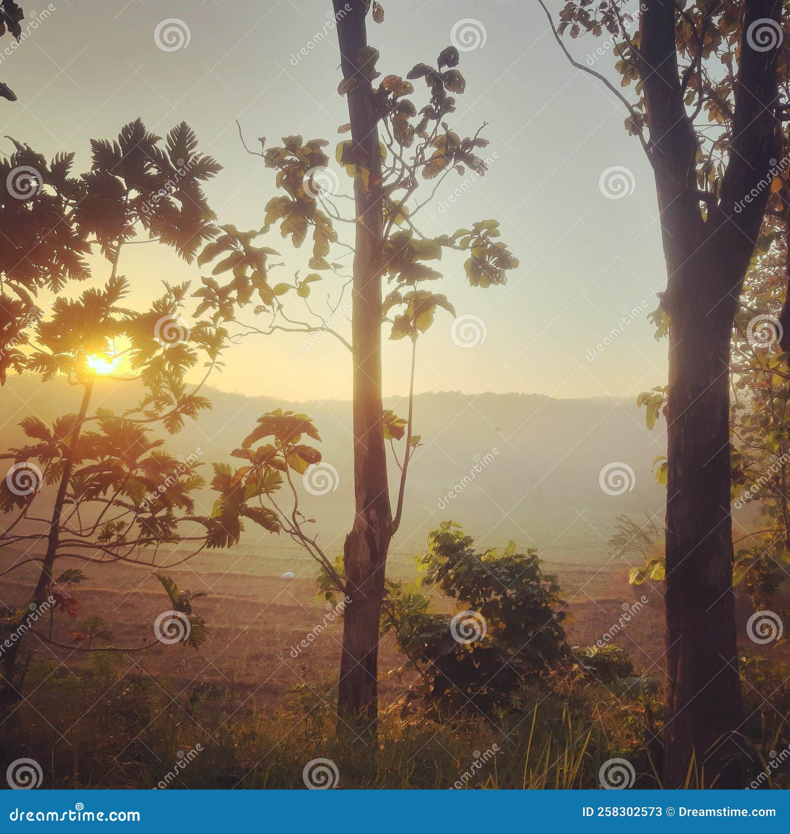 Morning village sunrise stock image. Image of sunlight - 258302573