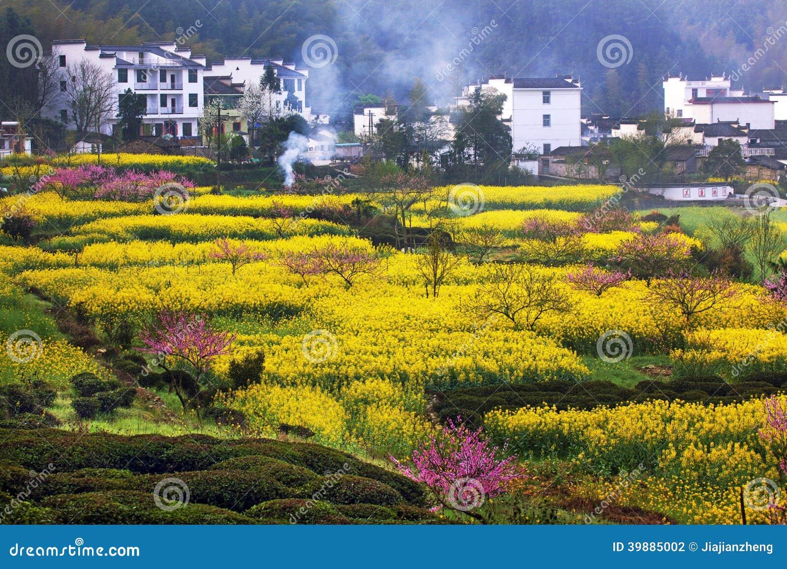 Morning stock photo. Image of china, asian, affecting - 39885002