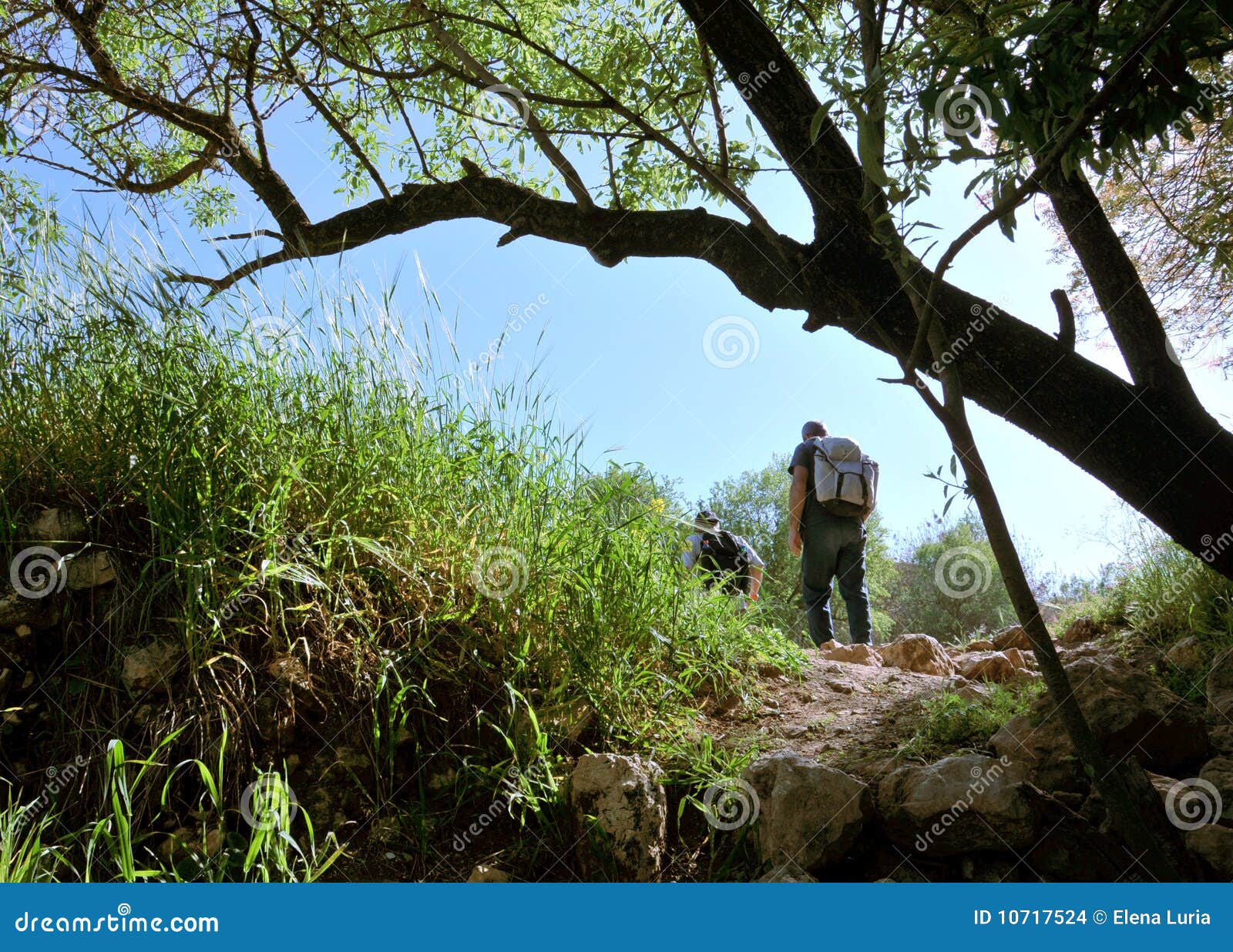 Morning walk stock photo. Image of hiking, male, lane - 10717524
