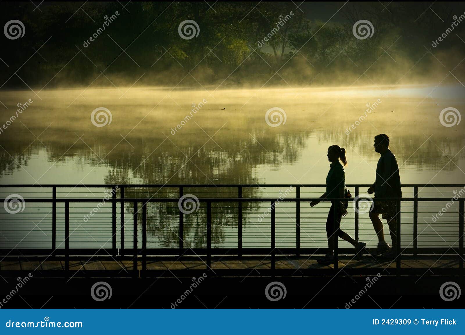 Morning Walk stock image. Image of sunset, strolling, walking - 2429309