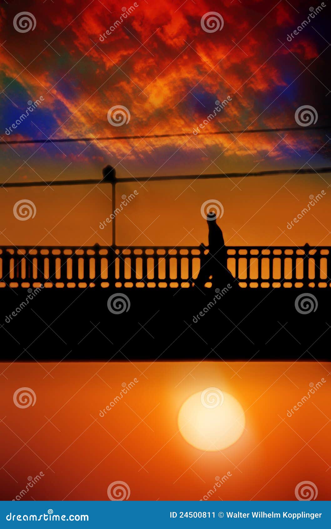 Morning walk stock image. Image of morning, healthy, fitness - 24500811