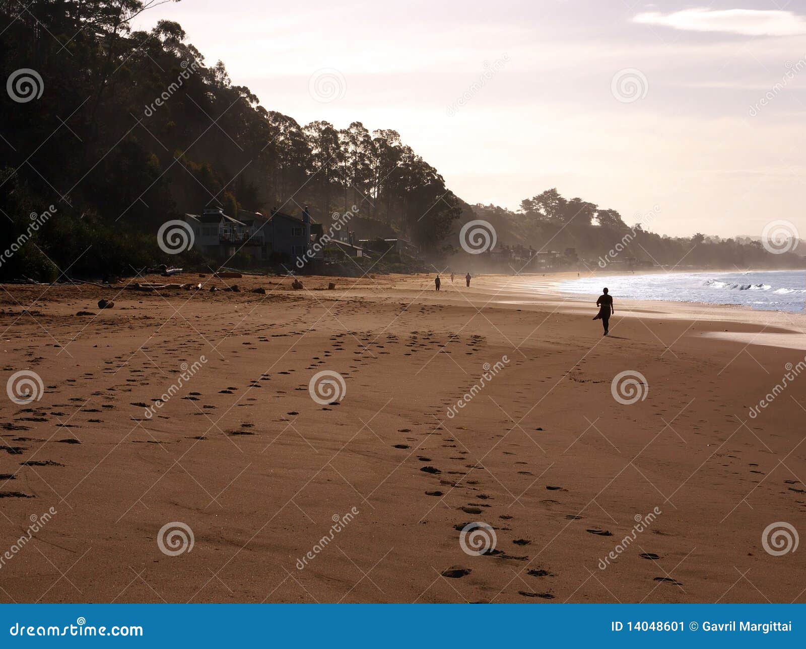 Morning walk on the beach stock image. Image of nature - 14048601