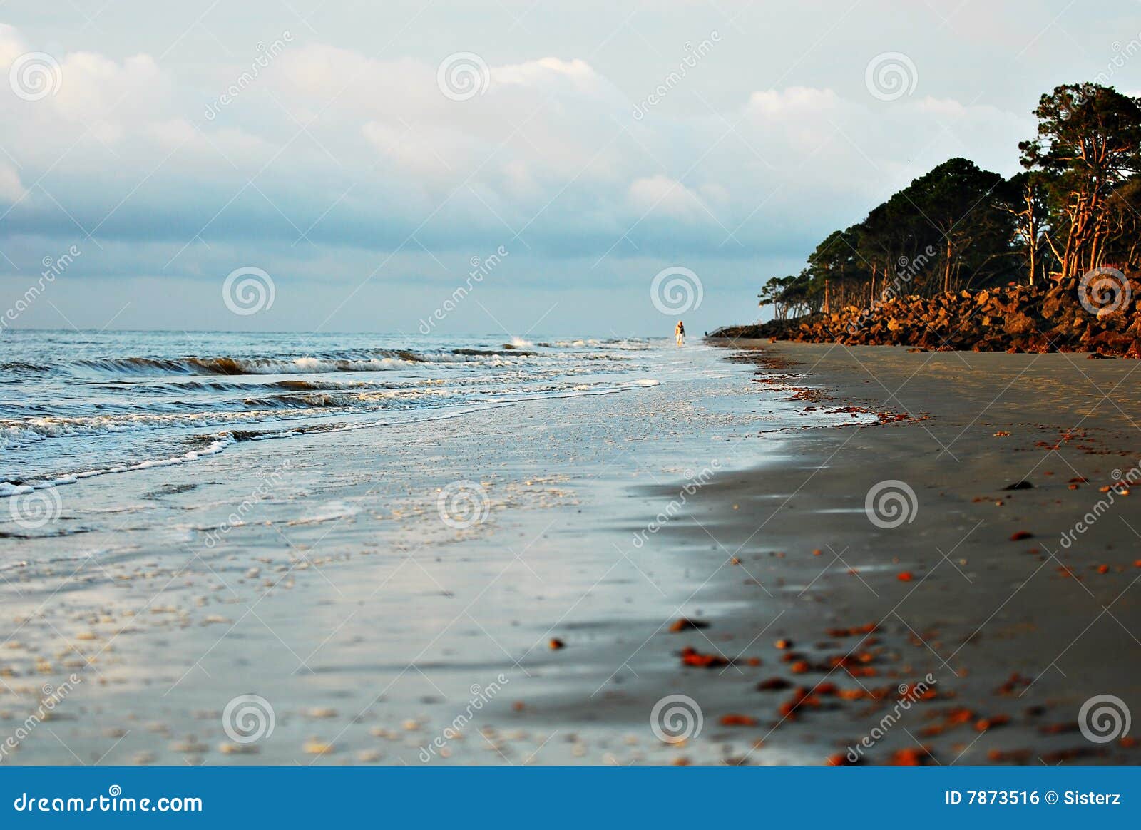 Morning walk on the beach stock photo. Image of relaxing - 7873516
