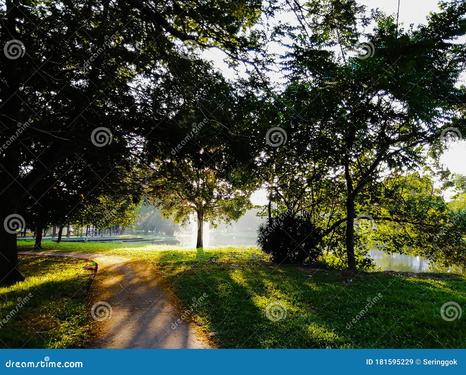 Morning walk in the park stock image. Image of fresh - 181595229