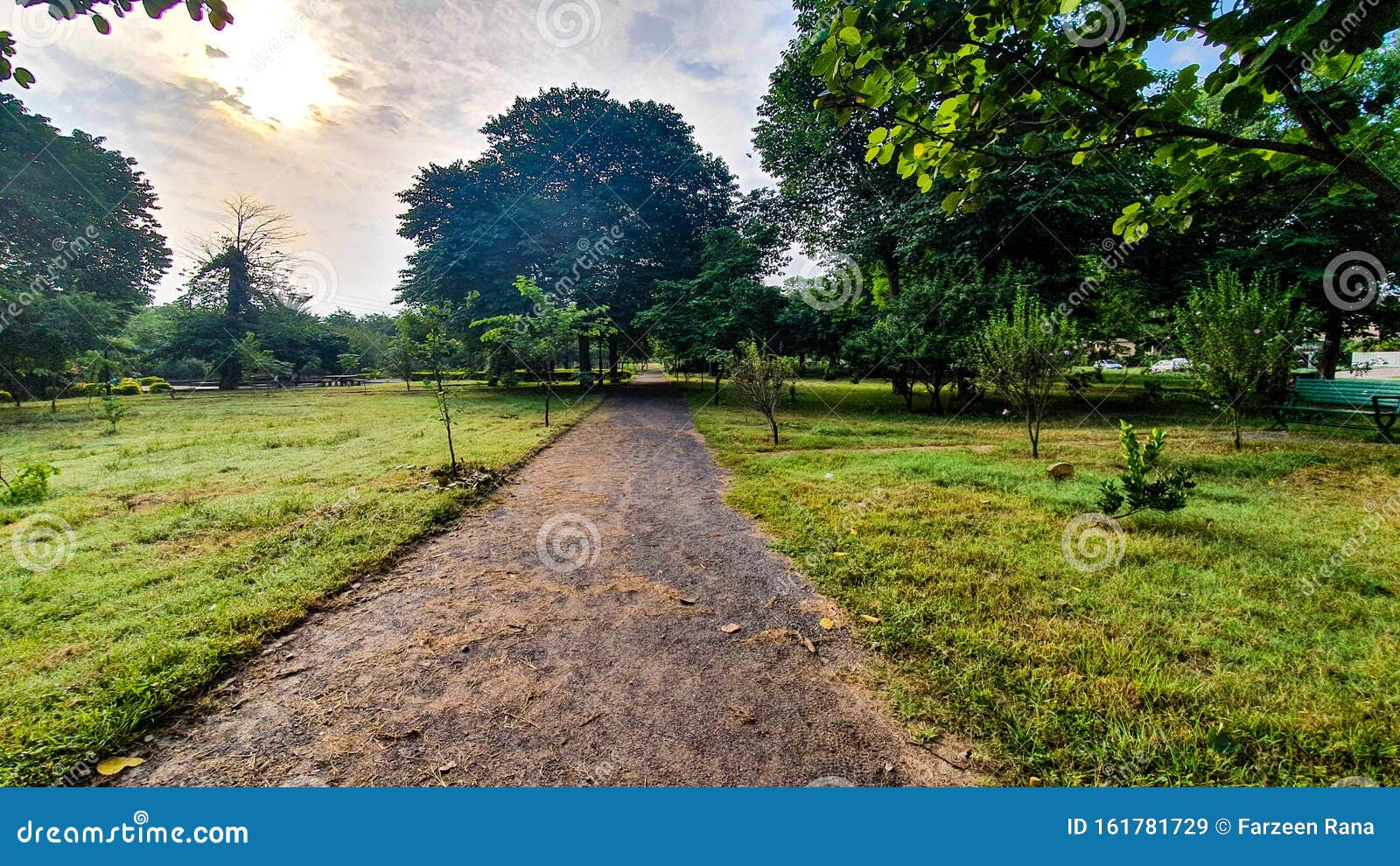 Morning walk in the park stock image. Image of park - 161781729
