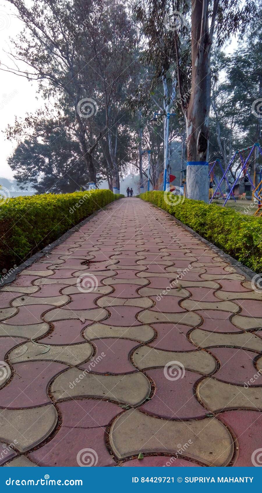 Morning Walk stock image. Image of indian, walk, road - 84429721