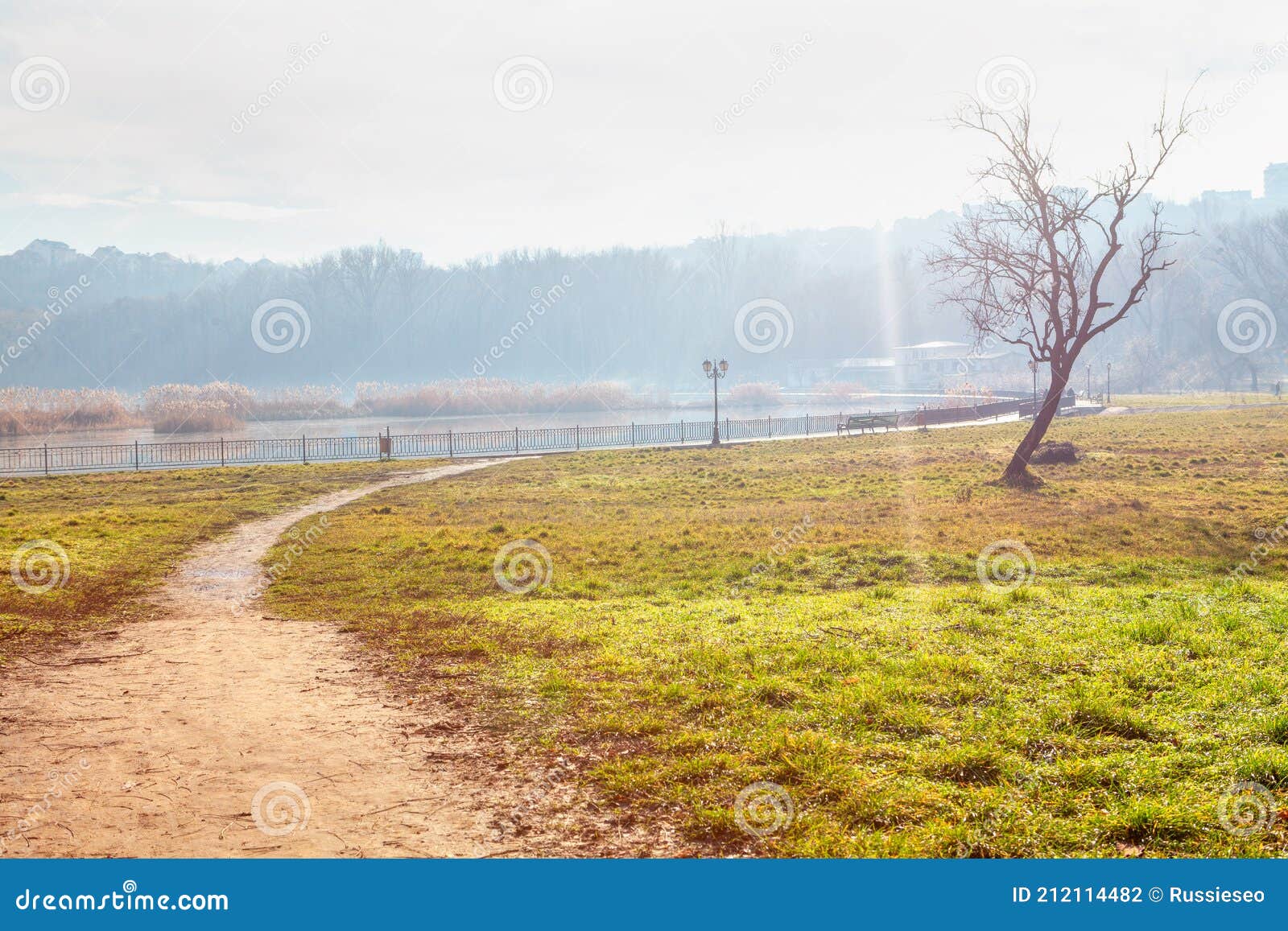 Morning Walking on the Path Stock Photo - Image of relaxation, park ...